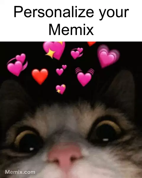 Brazil Cat Close Up Meme, GIF - Share with Memix