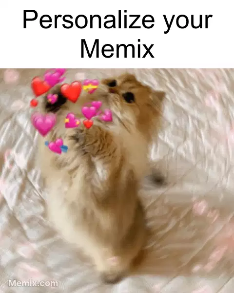 Brazil Cat Cutie Meme, GIF - Share with Memix