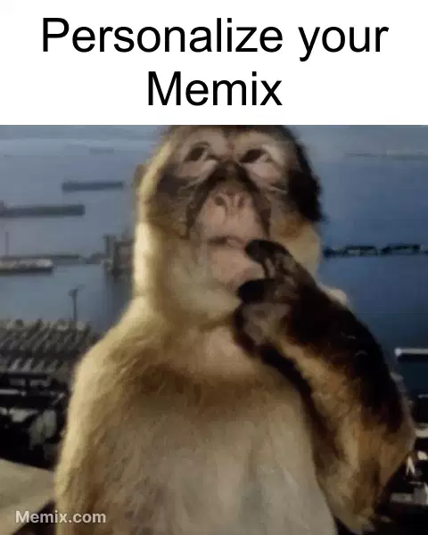 Brazil Monkey Thinking Meme, GIF - Share with Memix
