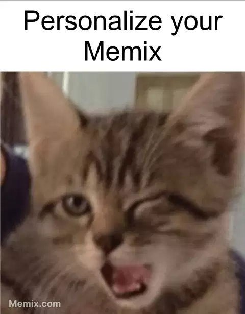Brazil Winking Cat Meme, GIF - Share with Memix