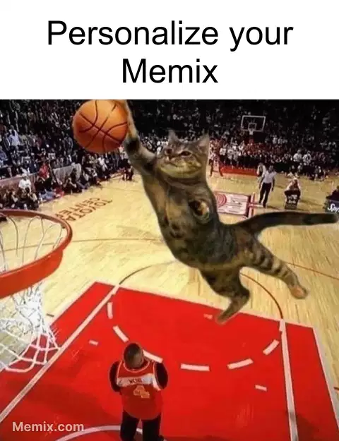 Cat Balling Dunk Meme Share With Memix