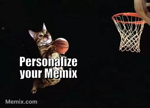 Cat Basketball Dunk Meme, GIF - Share with Memix