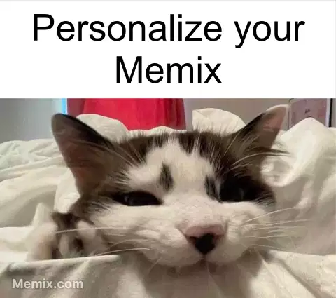 Cat Biting Sheets Meme, GIF - Share with Memix