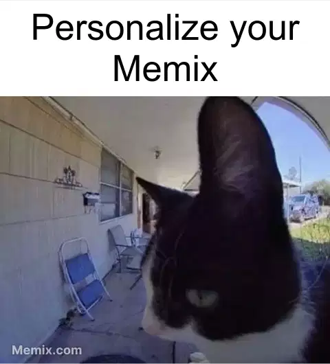 Cat Ears Meme, GIF - Share with Memix