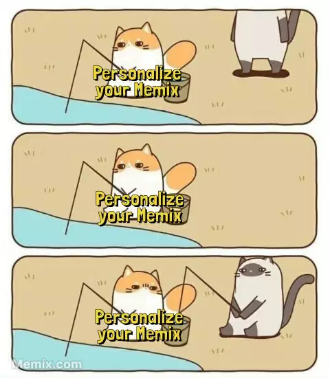 Cat Fishing Together Meme, GIF - Share with Memix