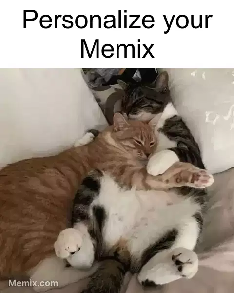 Cat Hug Memes Memes I Wish I Could Tag My Cat In | Facebook
