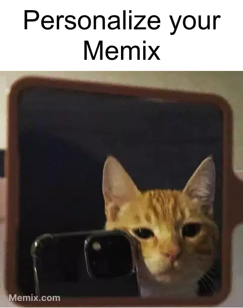 Cat Mirror Selfie Meme, GIF - Share with Memix