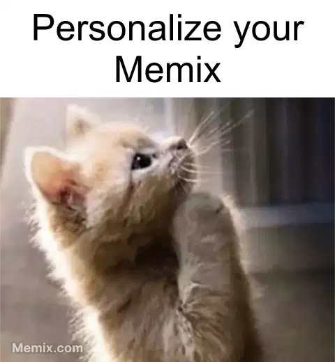 Cat Praying Meme, GIF - Share with Memix