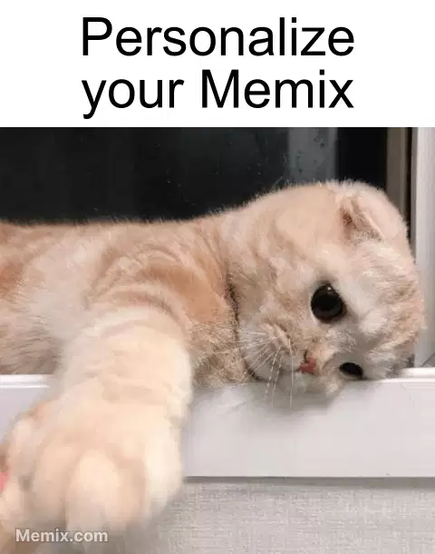 Cat Reach Out Meme, GIF - Share with Memix