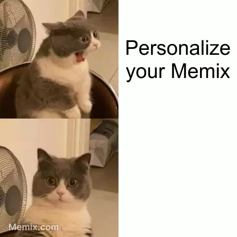 Cat Screaming Meme, GIF - Share with Memix