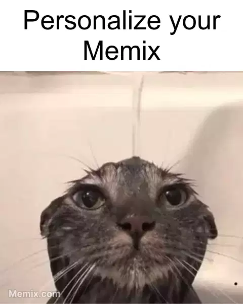 Cat Wet Sink Meme, GIF - Share with Memix