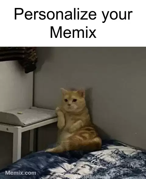 Depressed Cat Meme