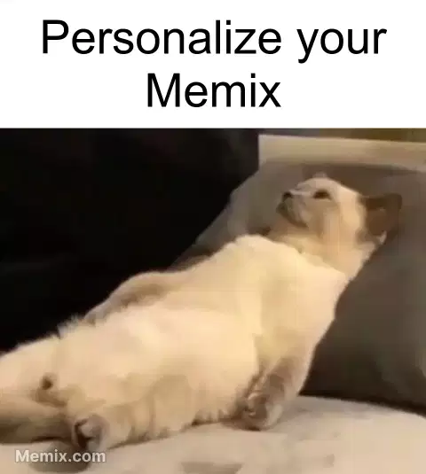 Depressed Cat Meme, GIF - Share with Memix