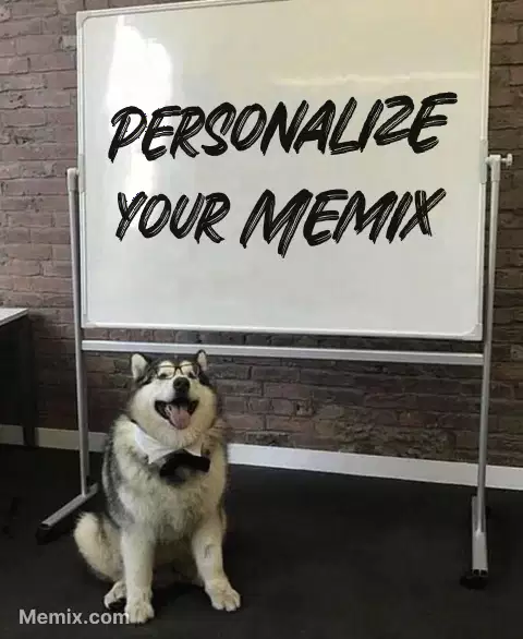 Dog Board Meme, GIF - Share with Memix