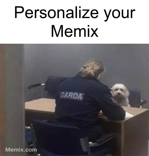 Dog Interview Police Meme, GIF - Share with Memix