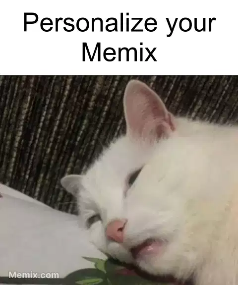 Drunk Cat Meme, GIF - Share with Memix