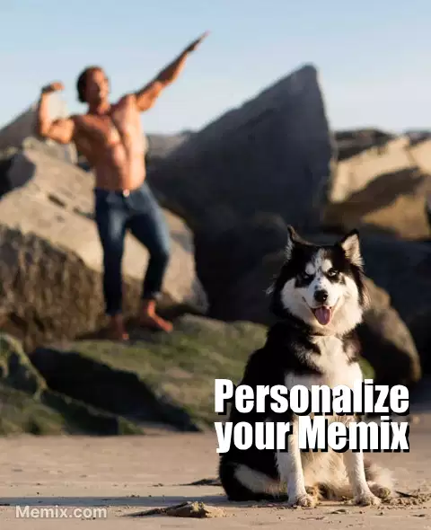 Mike O Hearn Dog Meme, GIF - Share with Memix