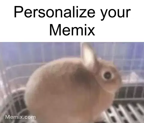 Rabbit Side Eye Meme, GIF - Share with Memix