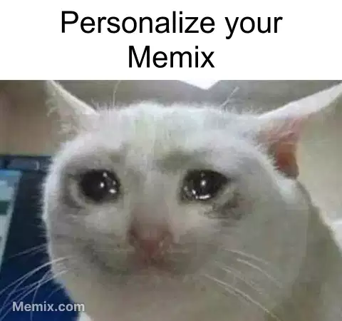 Sad Cat Cry Meme, GIF - Share with Memix