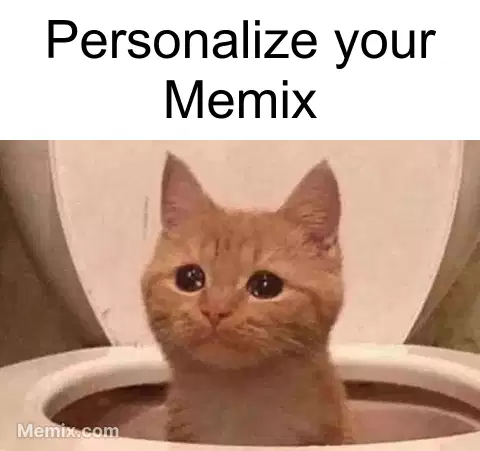 Sad Cat Toilet Meme, GIF - Share with Memix
