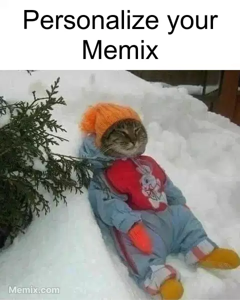 Winter Cat Meme, GIF - Share with Memix